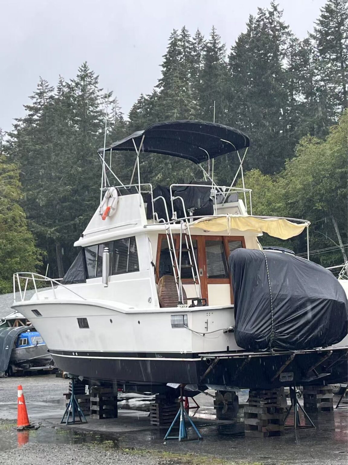 32′ 1974 Trojan F32 Command Bridge - Blackfish Marine